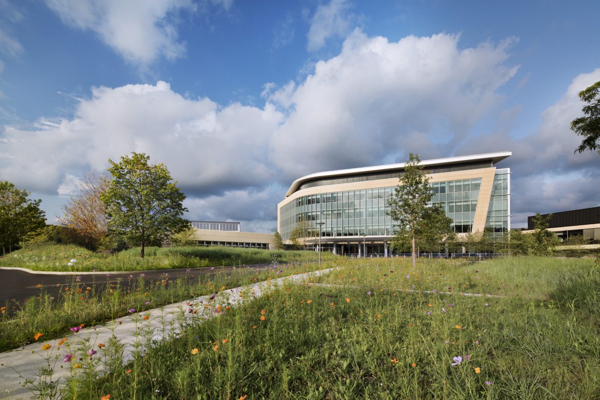 Designing an Ecological Corporate Campus