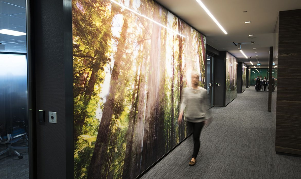 5 Ways to Enhance Workplace Experience with Graphics - Work Design Magazine