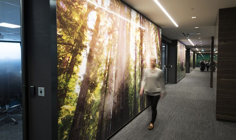 5 Ways to Enhance Workplace Experience with Graphics - Work Design Magazine