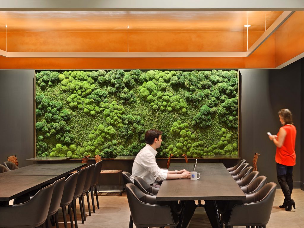 Connecting People to Nature Within the Corporate Office - Work Design ...