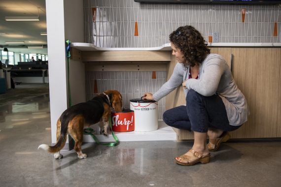 Mars Petcare is the "Pet-Friendly Workplace of the Future"