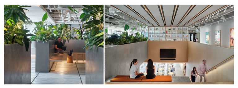 How a Healthy Workspace Can Transform Your Office Culture