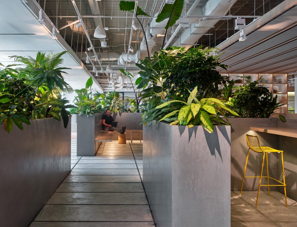 How a Healthy Workspace Can Transform Your Office Culture