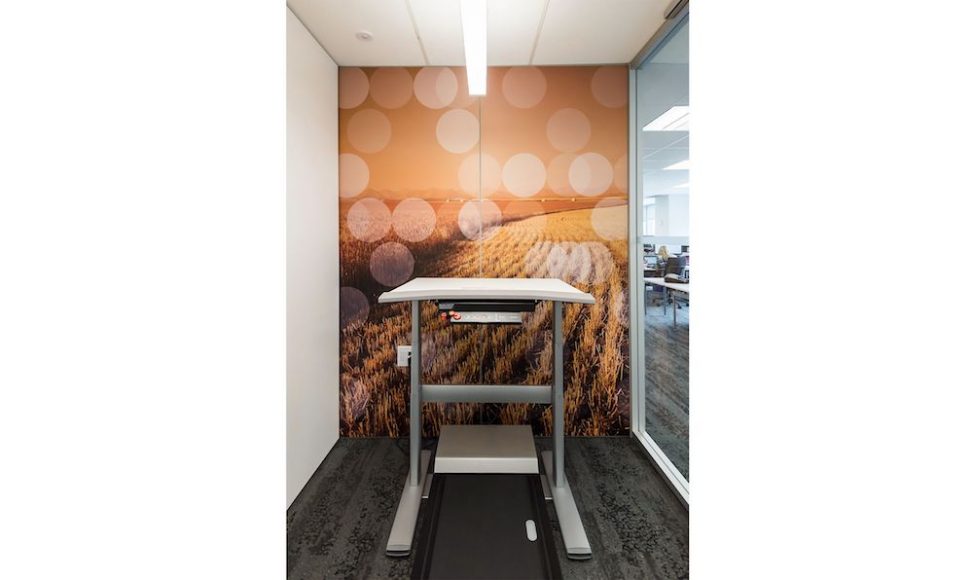 Supporting Physical and Mental Health Through Design