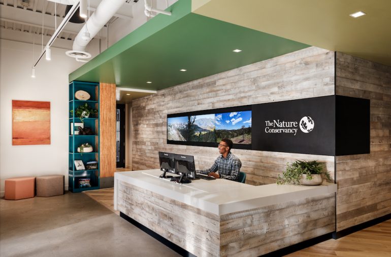 The Nature Conservancy Space Is Designed With A Colorado Nature Motif