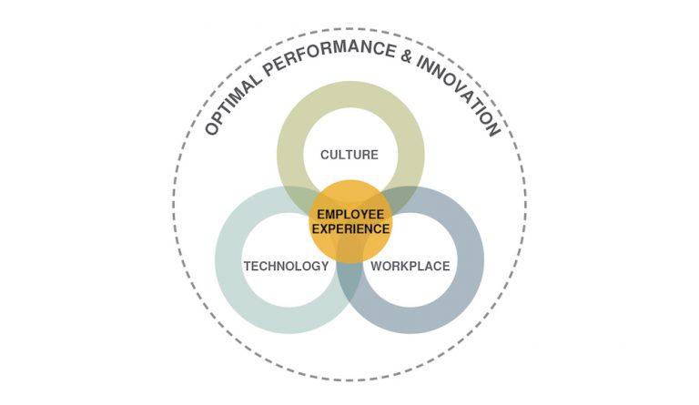 The Employee Experience: Driving Innovation - Work Design Magazine