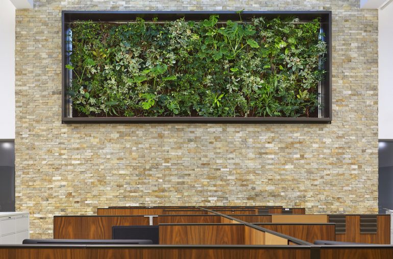 Inviting Nature into the Workplace - Work Design Magazine