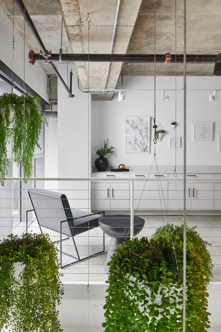 Perkins&Will Gives Kimball A Clean, Light-Filled New Space in Dallas