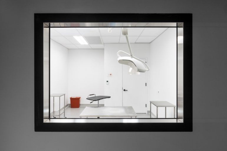 Take A Tour Of LiveOnNY's New Space By TPG Architecture