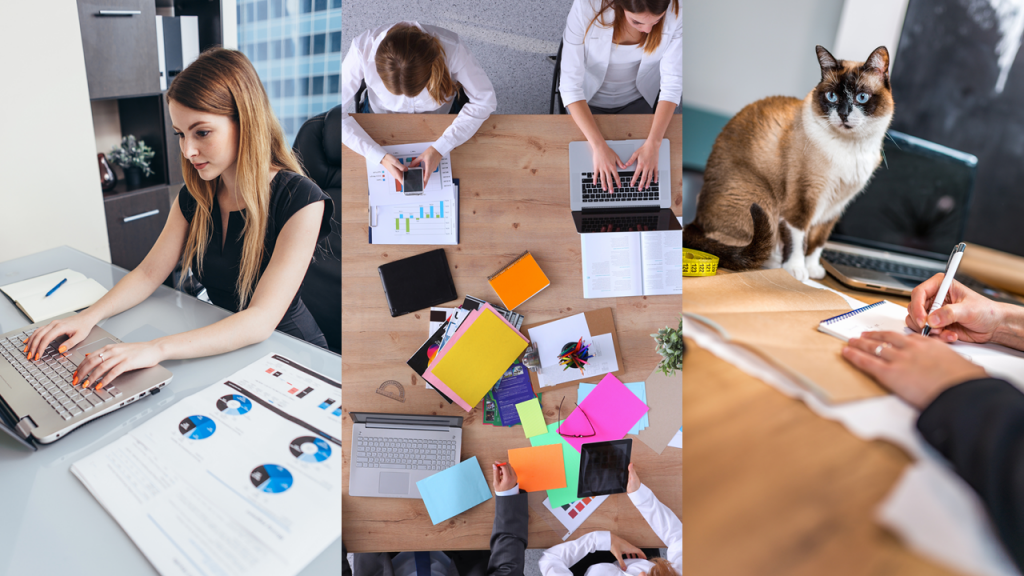 Hybrid working: What does it really mean? - Work Design Magazine