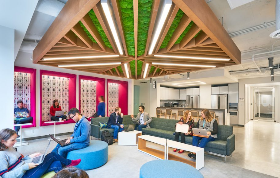 Bring Your Biophilic Design Aspirations to Life with Garden On The Wall