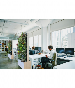 MOBILE Versa Wall Offers Flexibility And Health Benefits At Work