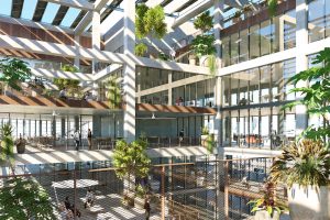 Sustainability & The Building Blocks of a Biophilic Workplace