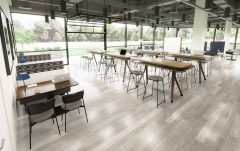 The Workplace Cafeteria: The All-In-One Collaboration Space