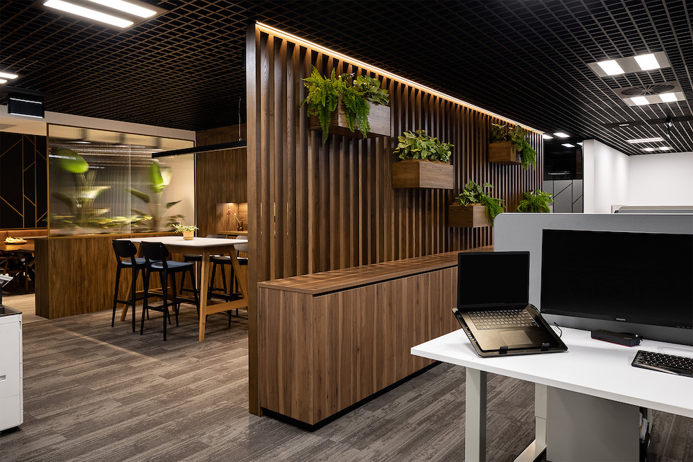 Take a Tour of Livefirm's Moody Auckland Offices by Cachet Group - Work ...