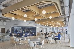 Generation Z, Office Design and Human Connection