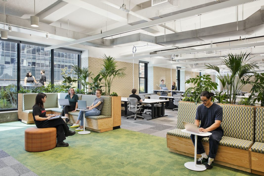 An Anthropological Approach to Today’s Workplace Design