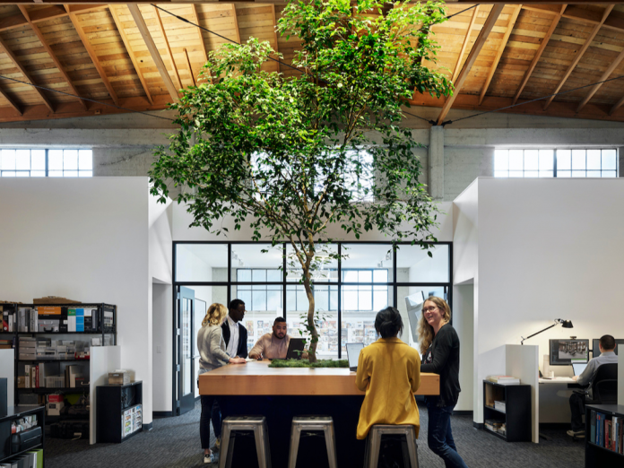 Take a Tour of William Duff Architects' New San Francisco Offices ...