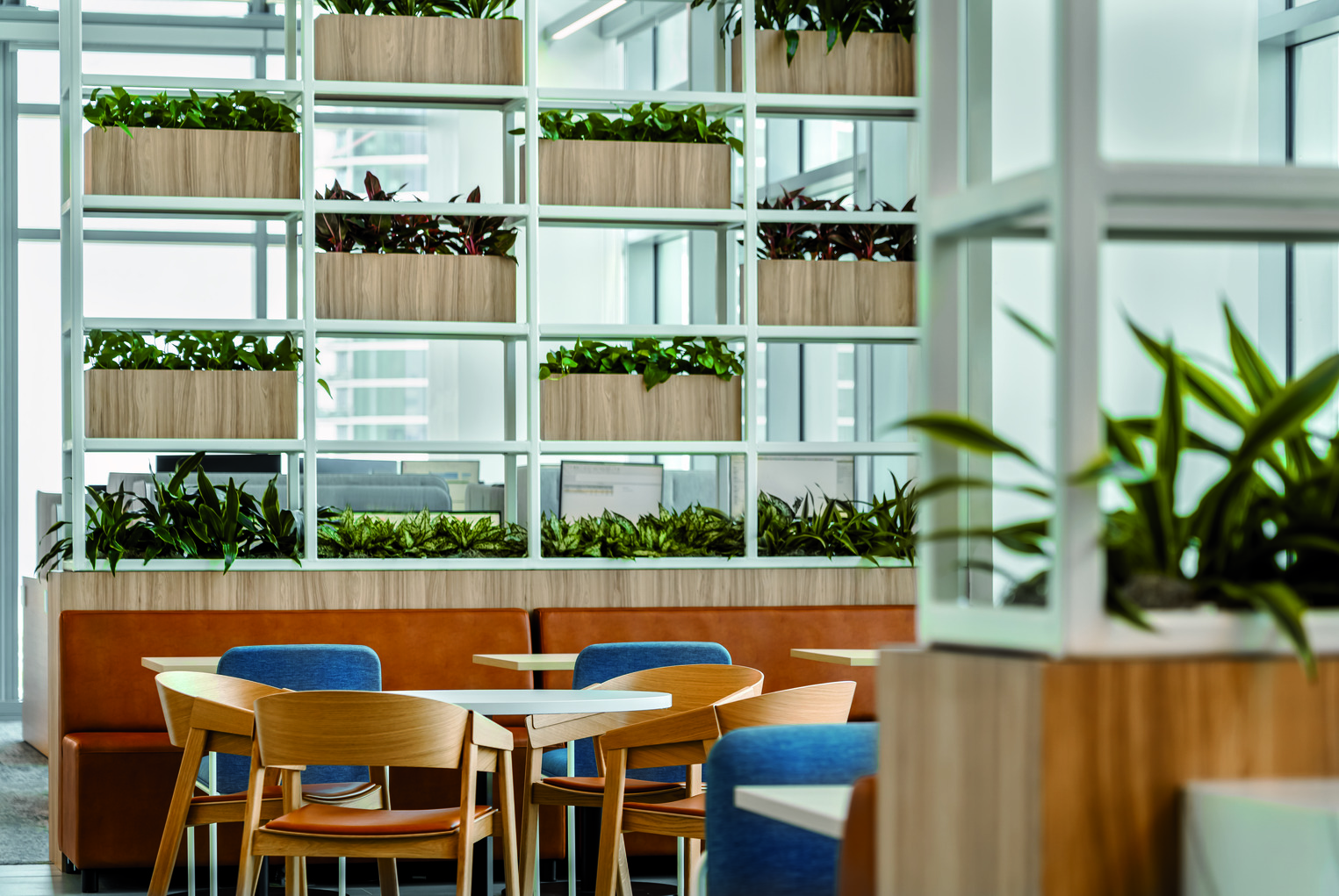 Tour RSM's Hybrid Workspace in Fort Lauderdale Designed by Shive ...