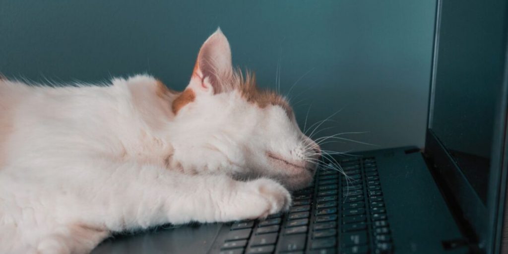 Are You Miserable At Work? Here’s The Secret To Finding Your Ideal Work ...