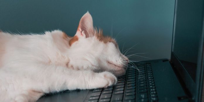 Are You Miserable At Work? Here’s The Secret To Finding Your Ideal Work ...