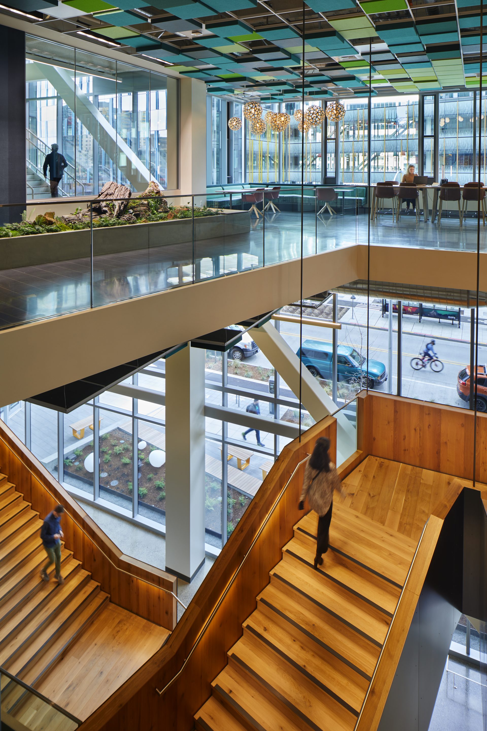 Check Out Amazon's Connection Tree Design at their Seattle Office ...