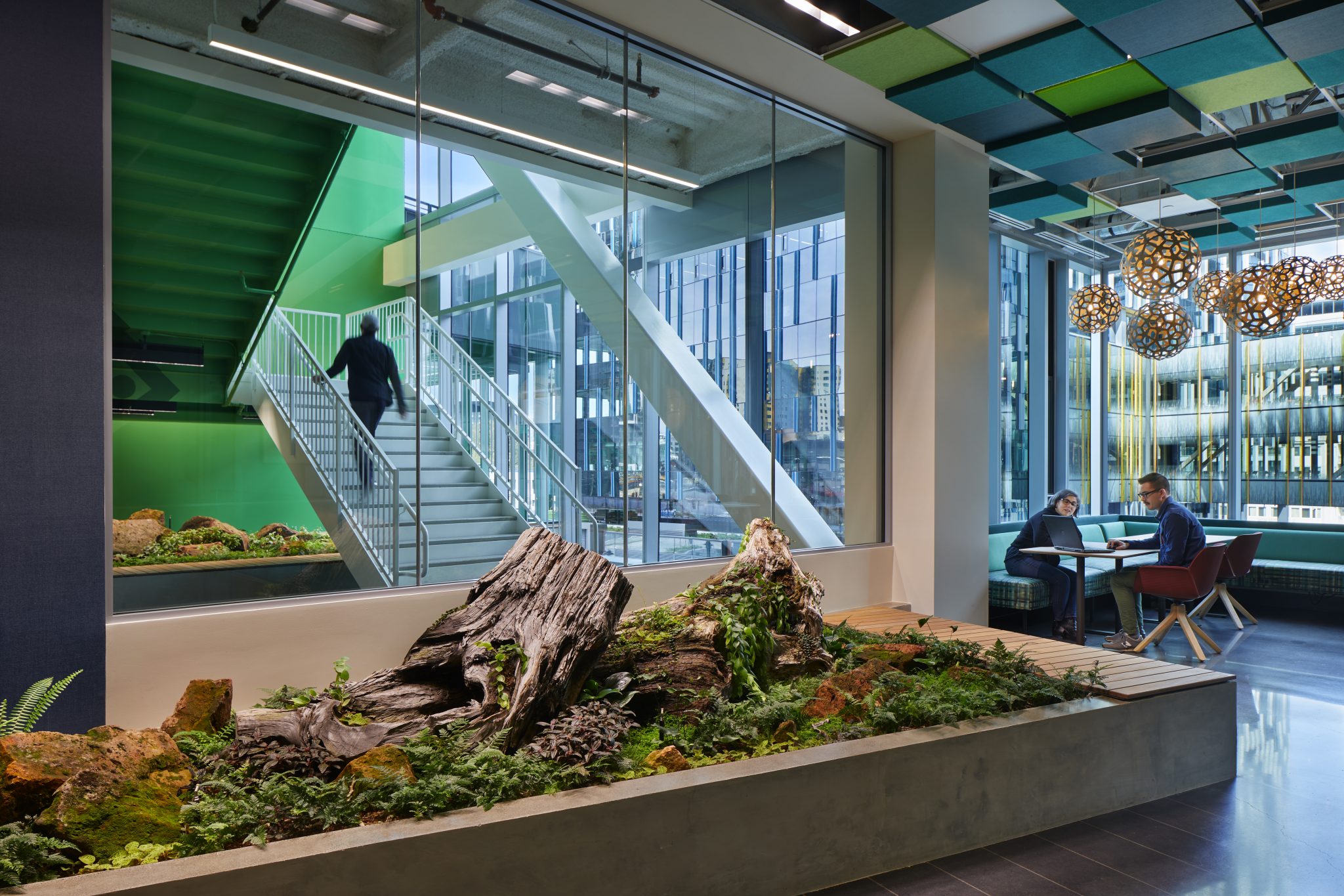 Check Out Amazon's Connection Tree Design at their Seattle Office ...