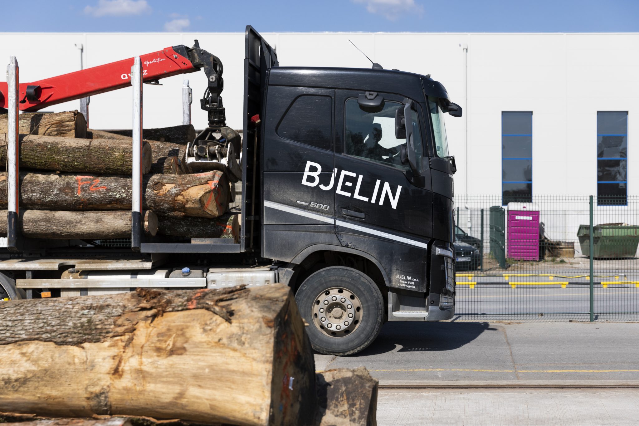 Sustainability Spotlight: Bjelin's Commitment to Trees - Work Design ...